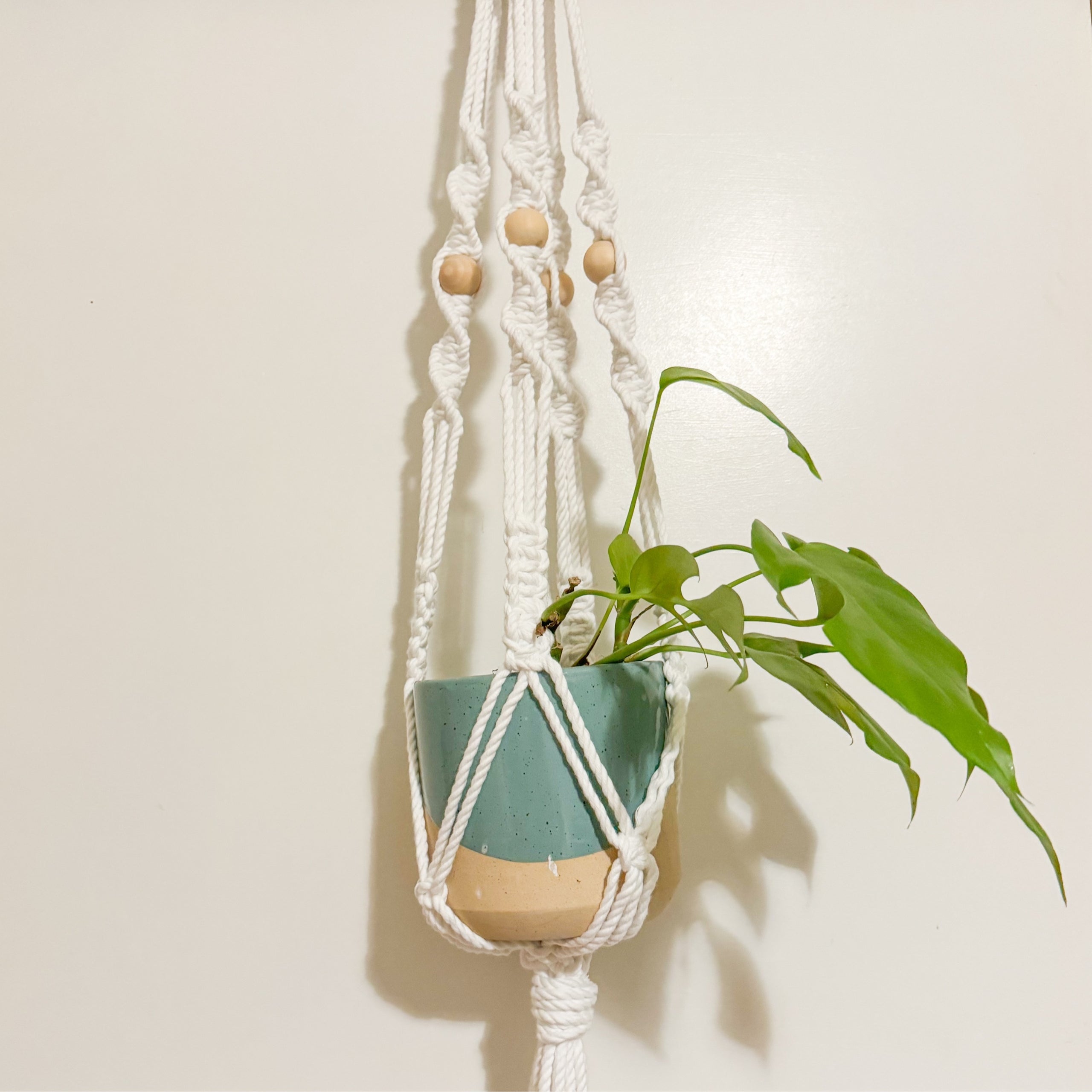 Custom Made Plant Hanger | TJM Designs